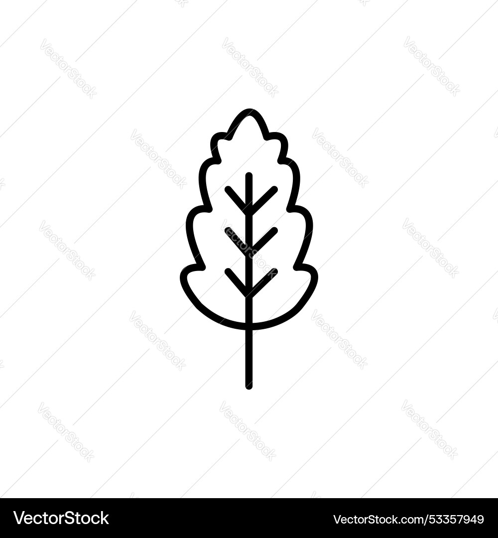 Oak leaf with veins icon set texture fall Vector Image