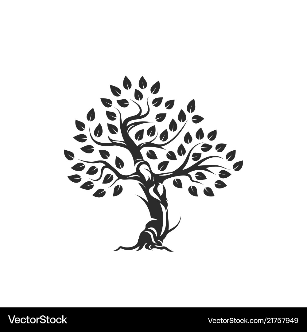 Organic natural and healthy olive tree silhouette Vector Image