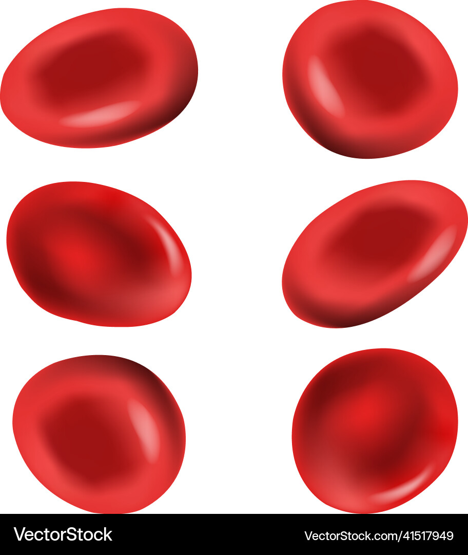 Red blood cells with white background Royalty Free Vector