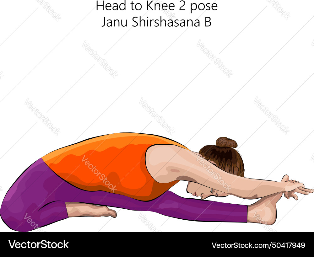 Yoga pose janu shirshasana b Royalty Free Vector Image