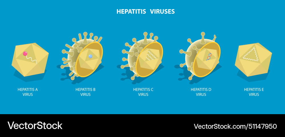 3d isometric flat of hepatitis Royalty Free Vector Image