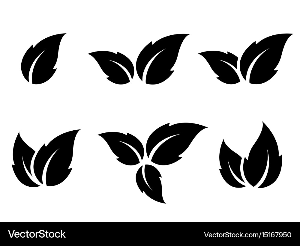 Black leaf icons set Royalty Free Vector Image