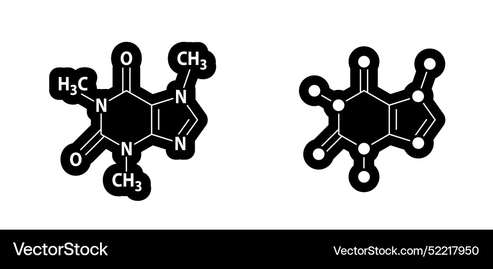 Coffee caffeine chemical structure c8h10n4o2 Vector Image