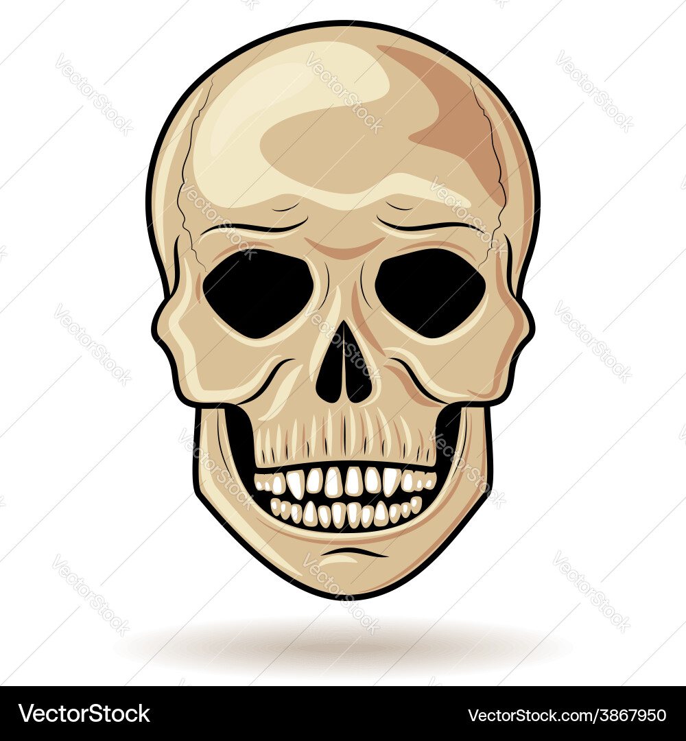Skull Royalty Free Vector Image - VectorStock