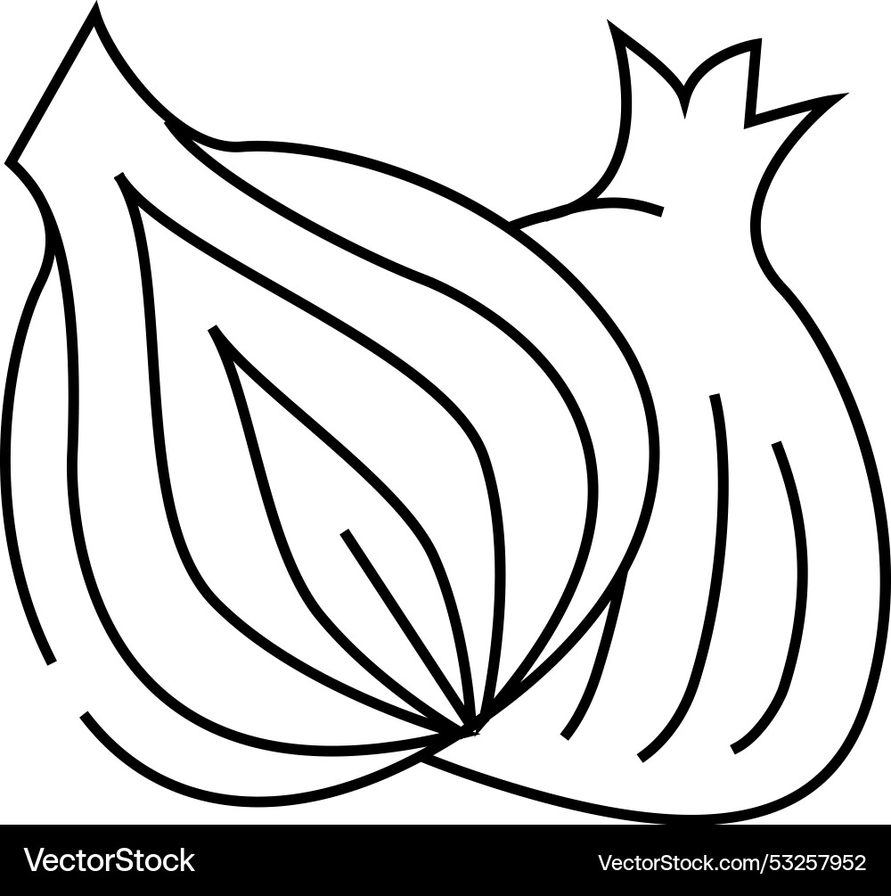 Onion cut line icon Royalty Free Vector Image - VectorStock
