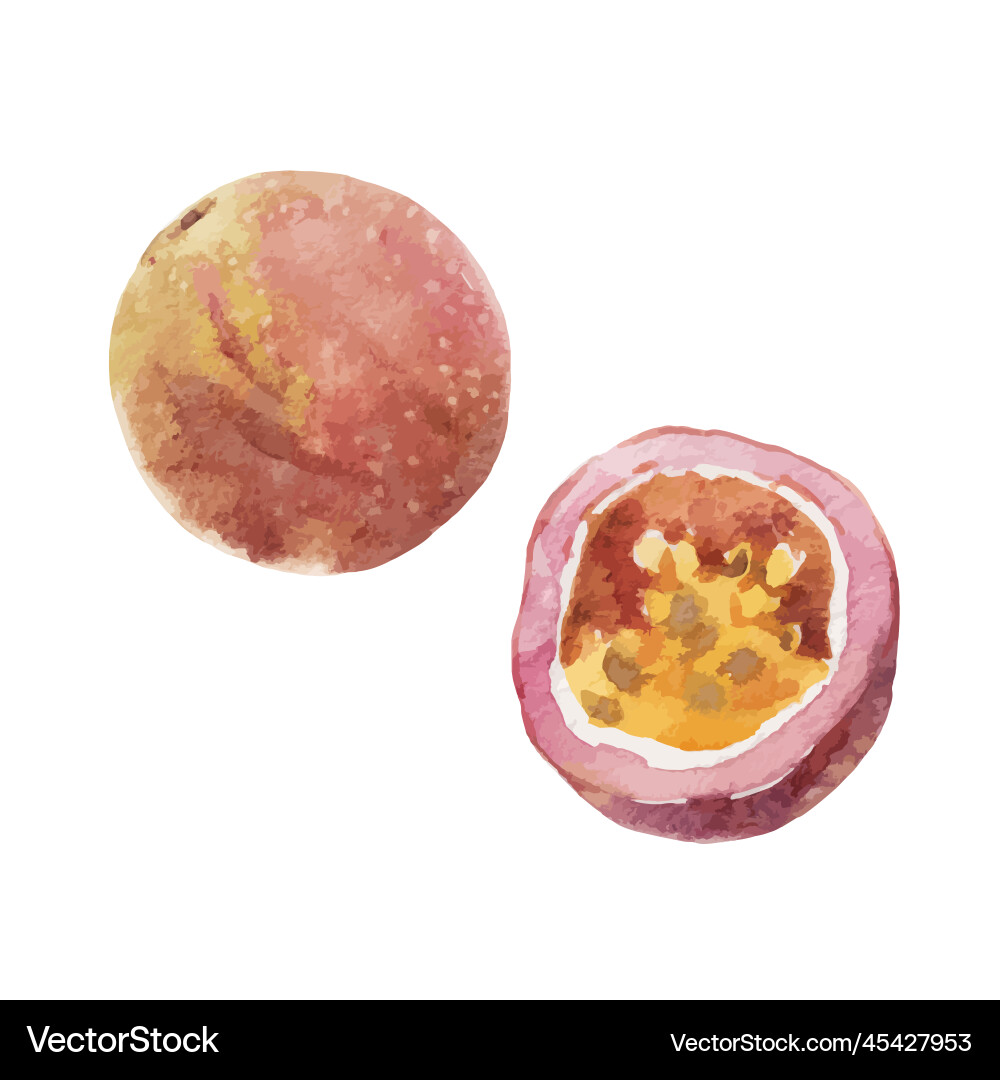 Beautiful stock clip art Royalty Free Vector Image