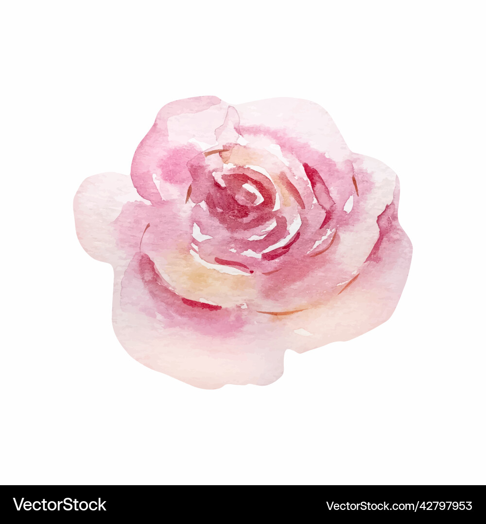 Watercolor spring blooming flower Royalty Free Vector Image