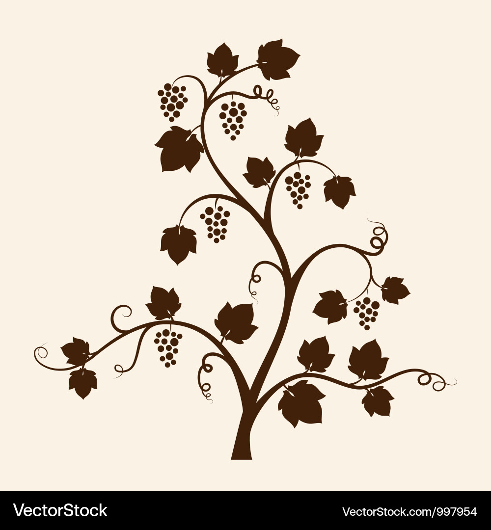 Grape Vine Silhouette Lizenzfreies Vektorbild