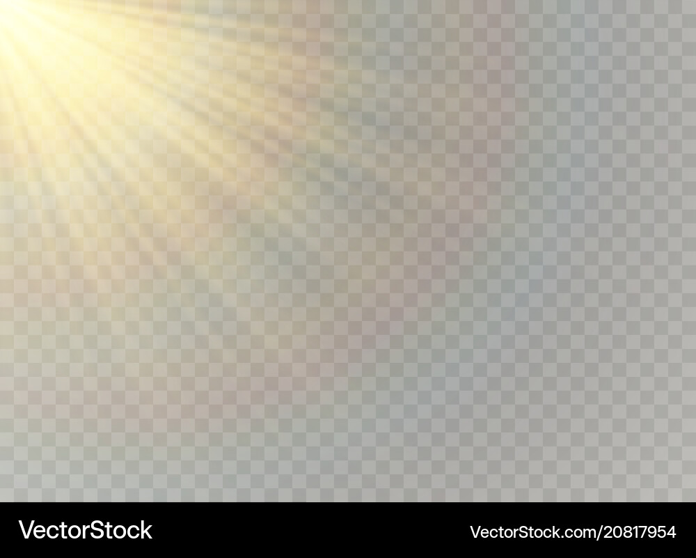 Sunlight Lens Flare Effect Royalty Free Vector Image