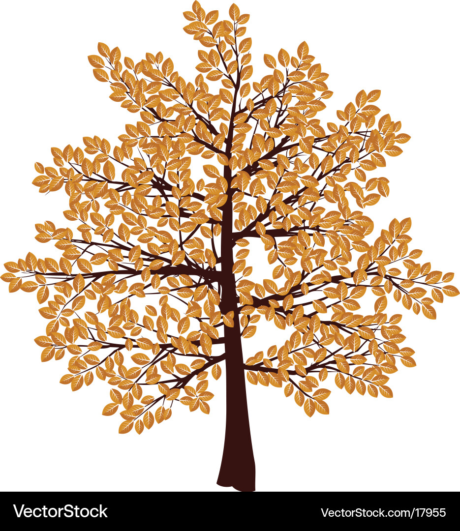Autumn tree Royalty Free Vector Image - VectorStock