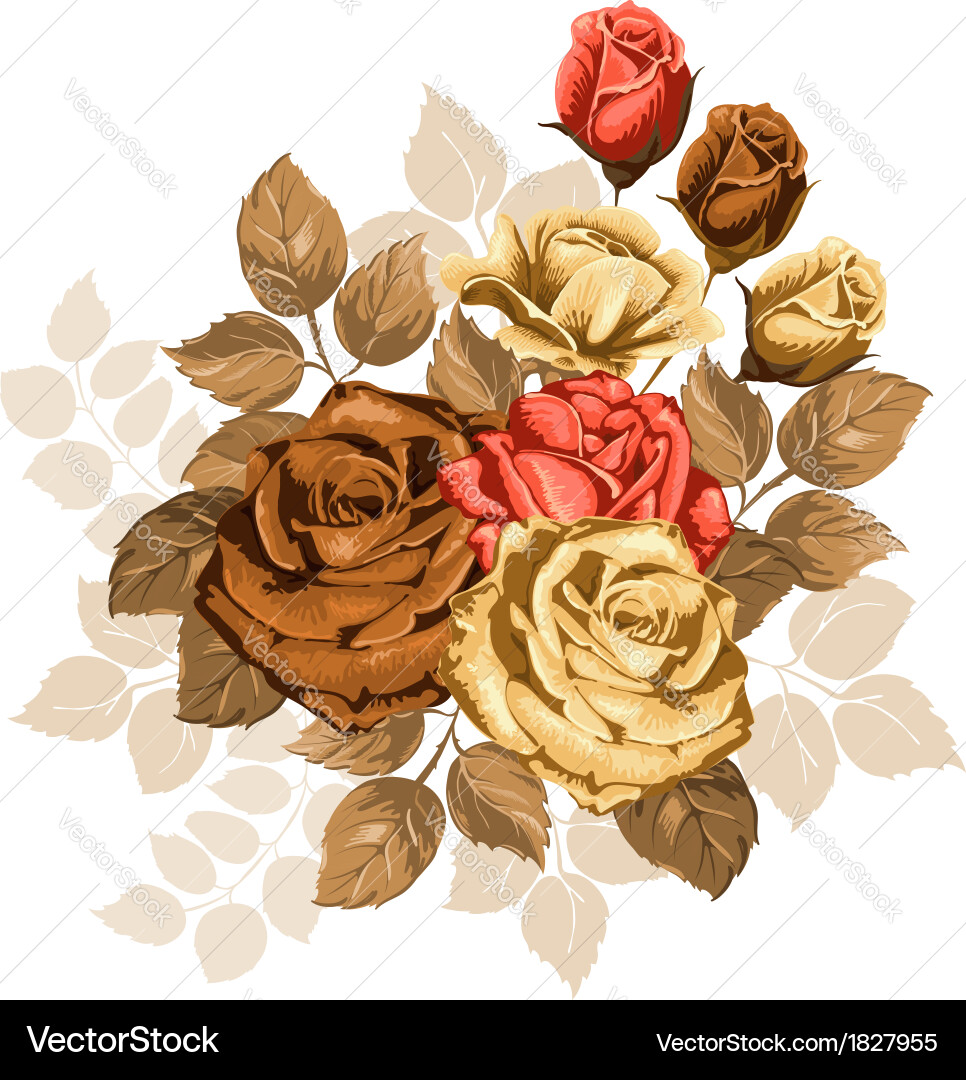 Bouquet of roses Royalty Free Vector Image - VectorStock