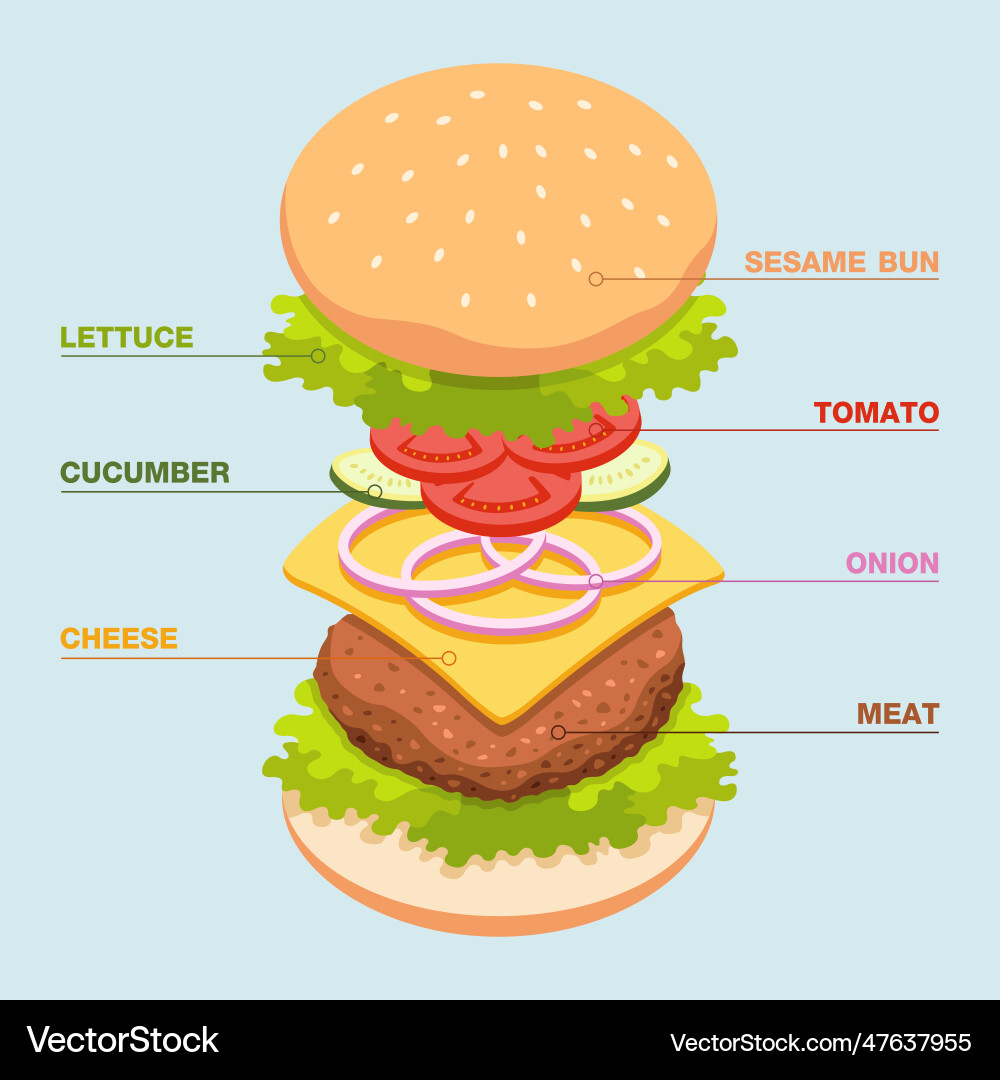 Flat style burger recipe cartoon Royalty Free Vector Image