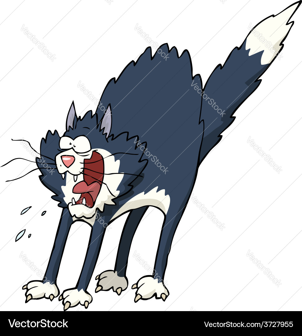 Scared cat Royalty Free Vector Image - VectorStock