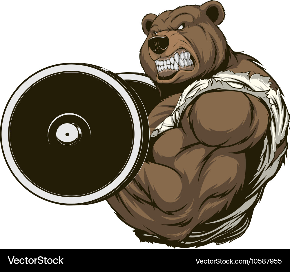 Strong ferocious bear Royalty Free Vector Image