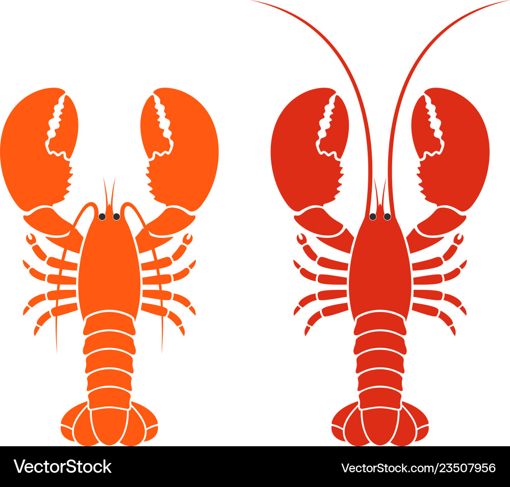 Lobster Royalty Free Vector Image - VectorStock