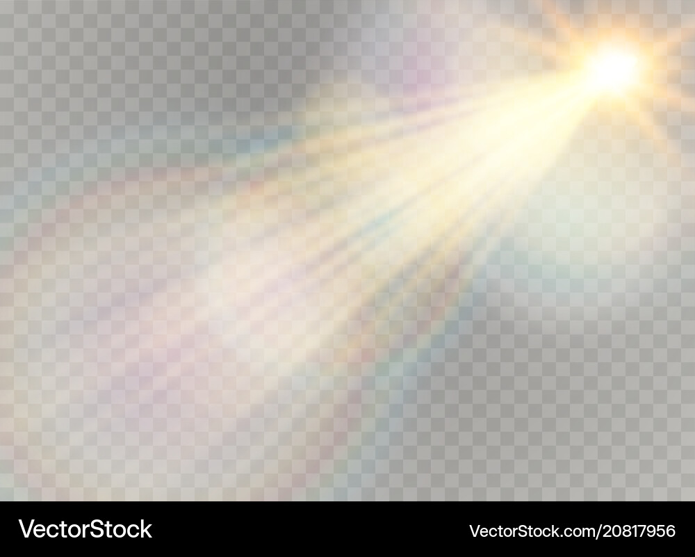 Transparentes Sonnenlicht Speziallinsen-Flack Vektorbild