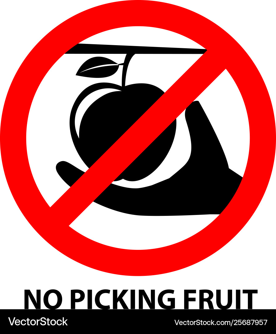 No Picking Fruit Sign Royalty Free Vector Image