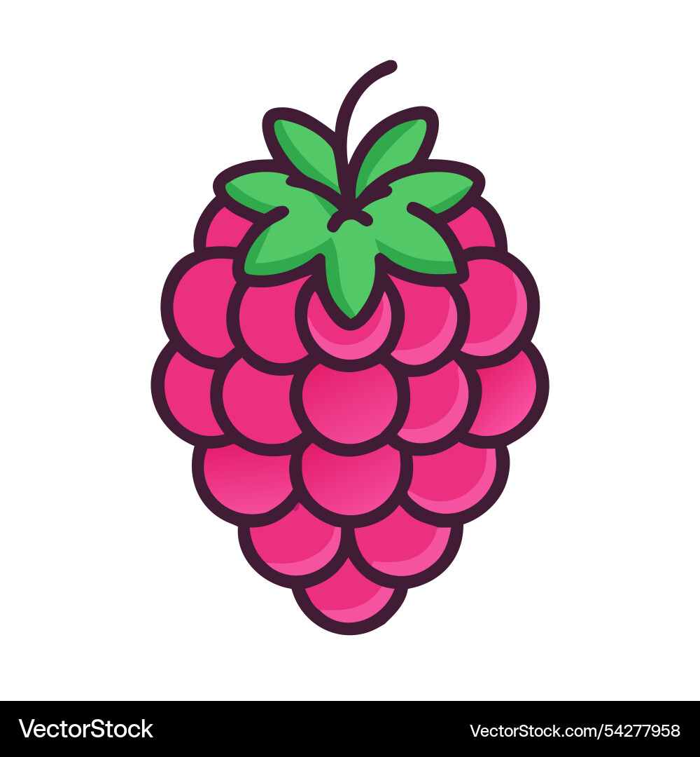 Raspberry icon fruits Royalty Free Vector Image