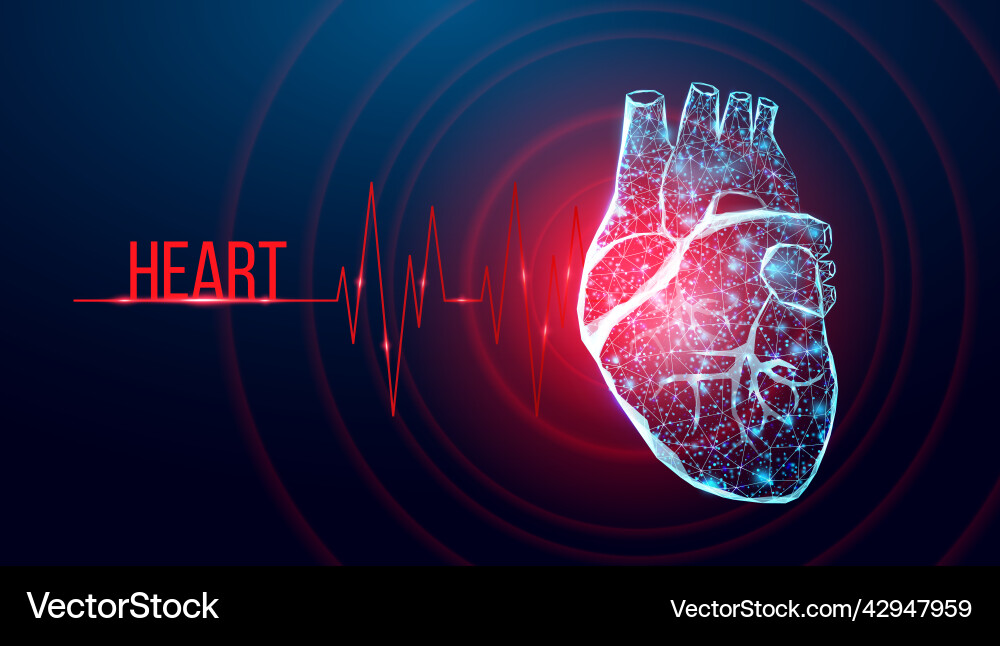 Human heart wireframe world day concept Royalty Free Vector