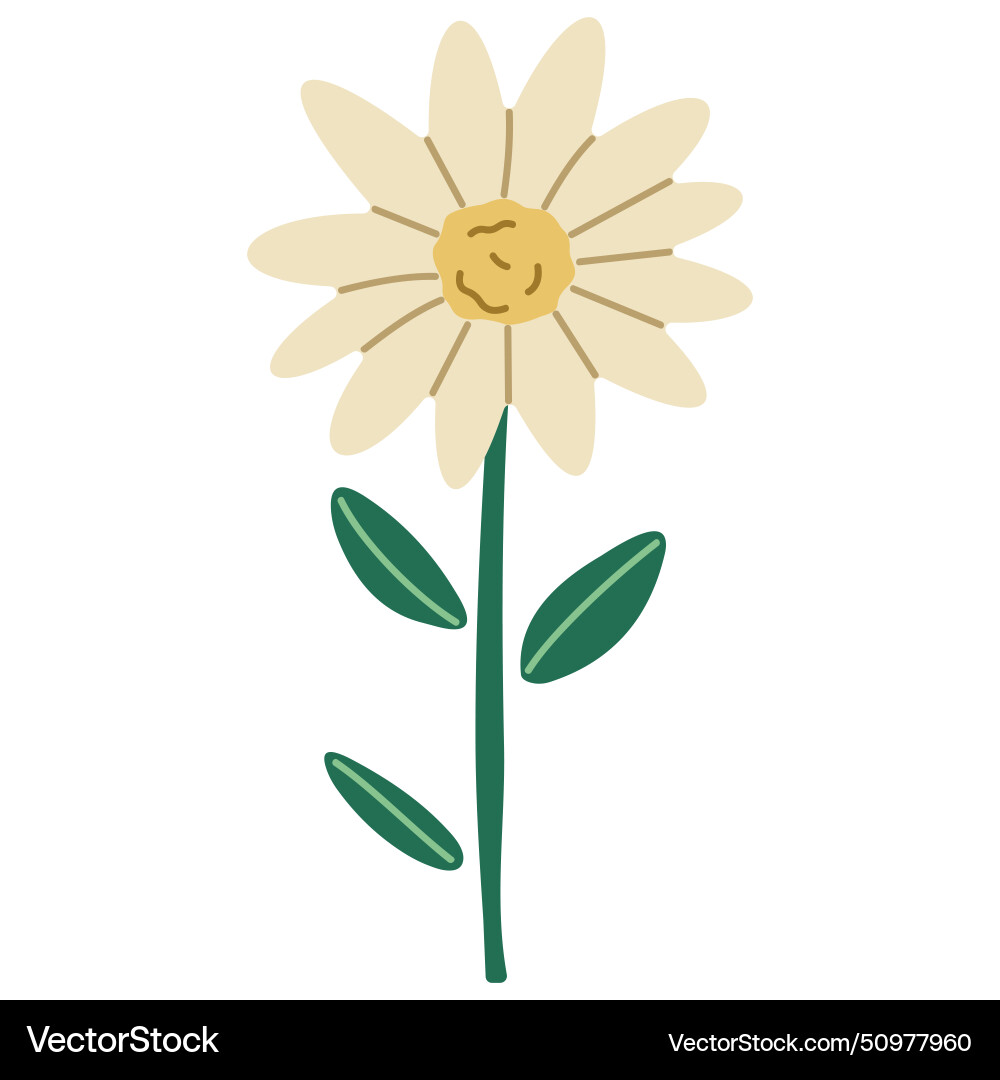Flower single 8 Royalty Free Vector Image - VectorStock