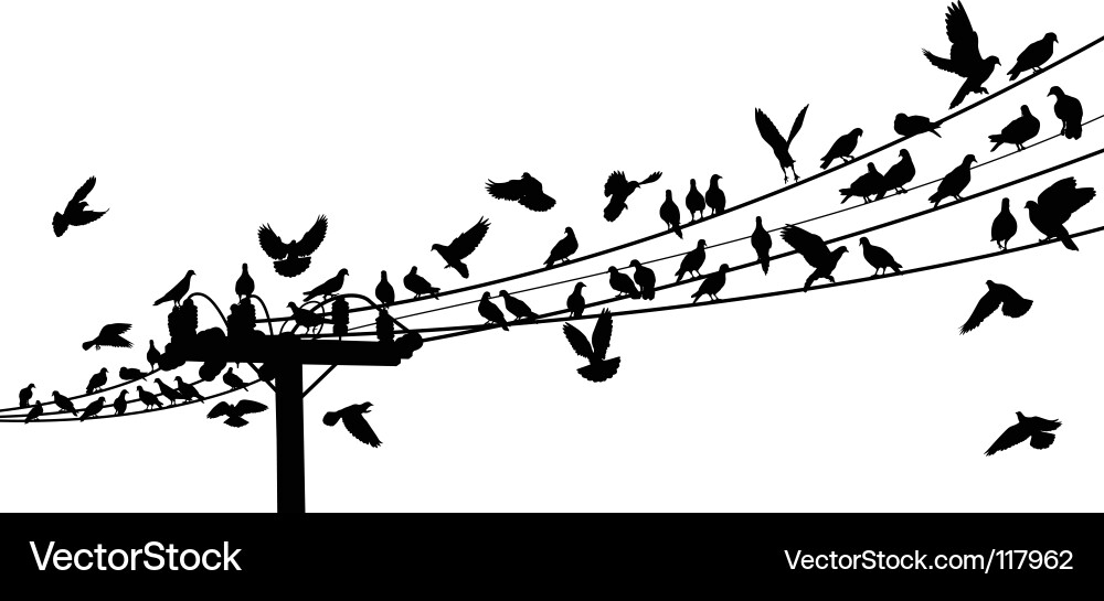 Roost Vector Images (over 920)