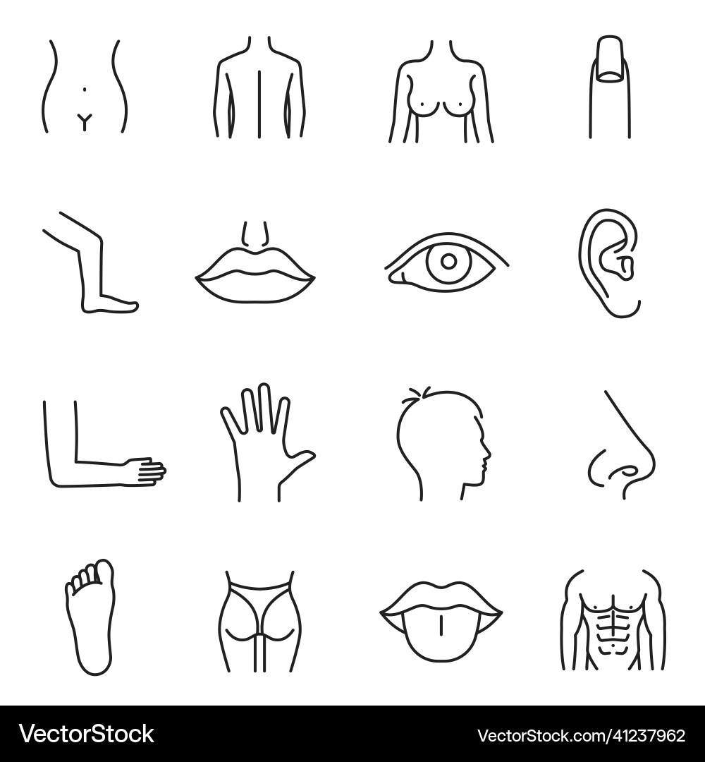 Body parts collection monochrome linear icon Vector Image
