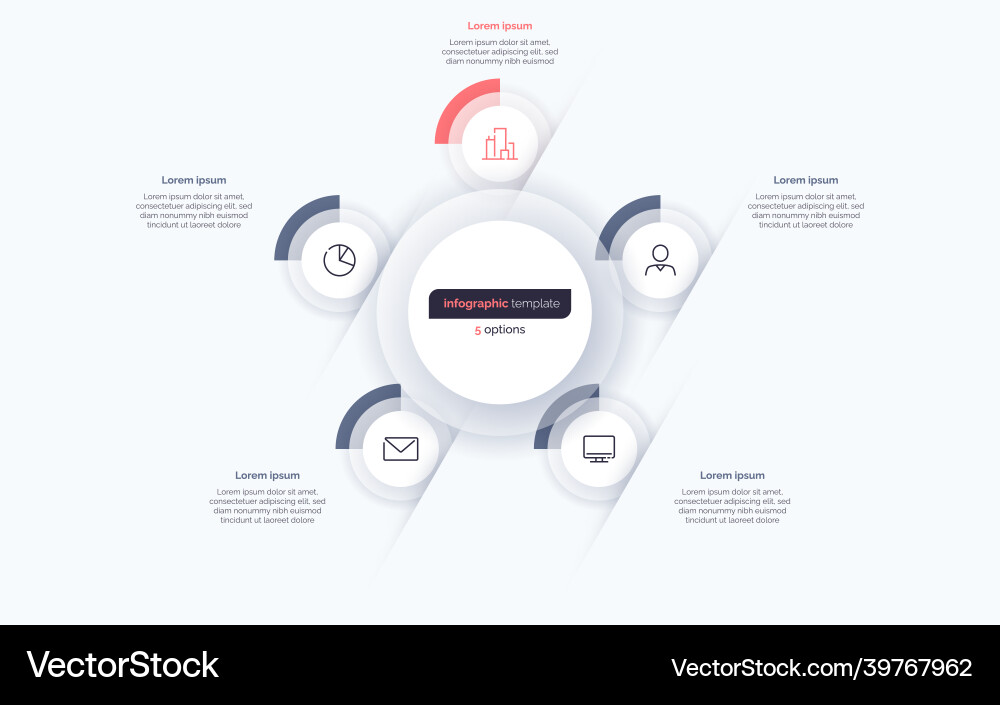Five option circle infographic design template Vector Image