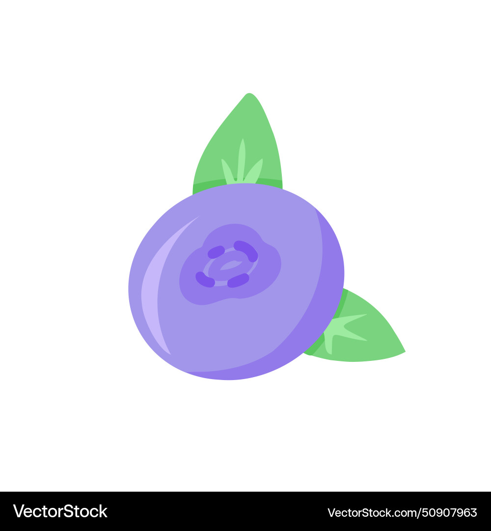 Blueberry for printing backgrounds covers Vector Image