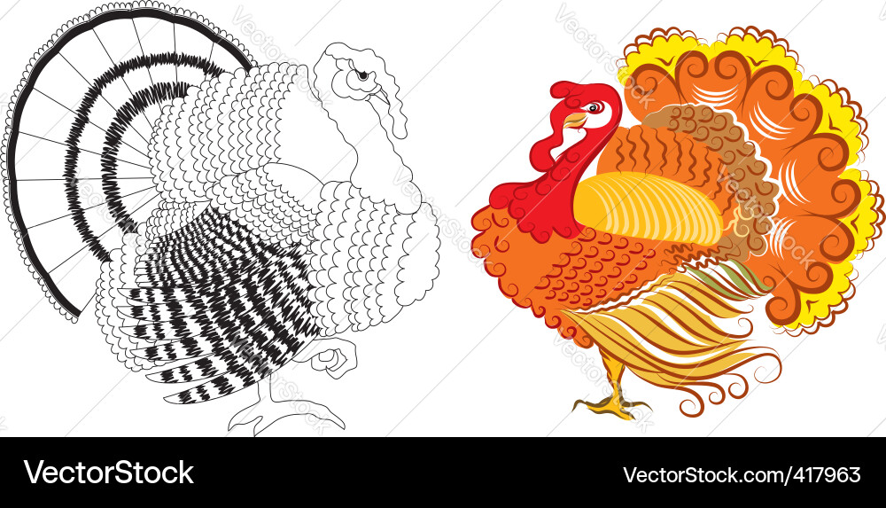 Turkeys Royalty Free Vector Image - VectorStock