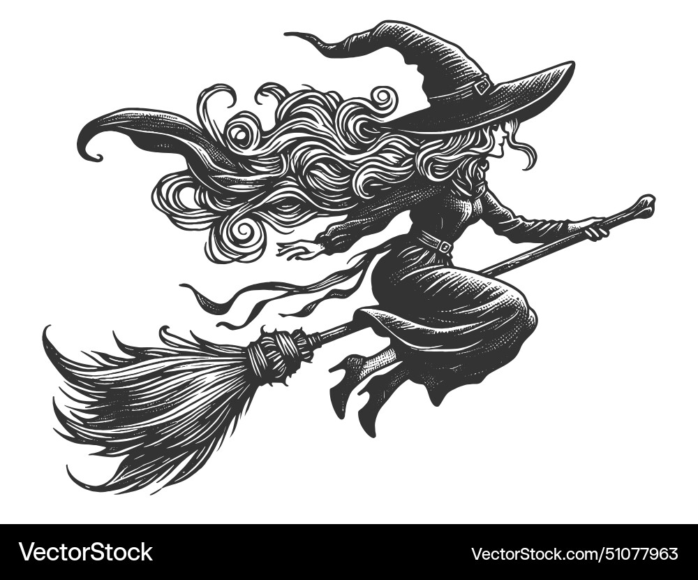 Witch flying on broomstick Royalty Free Vector Image