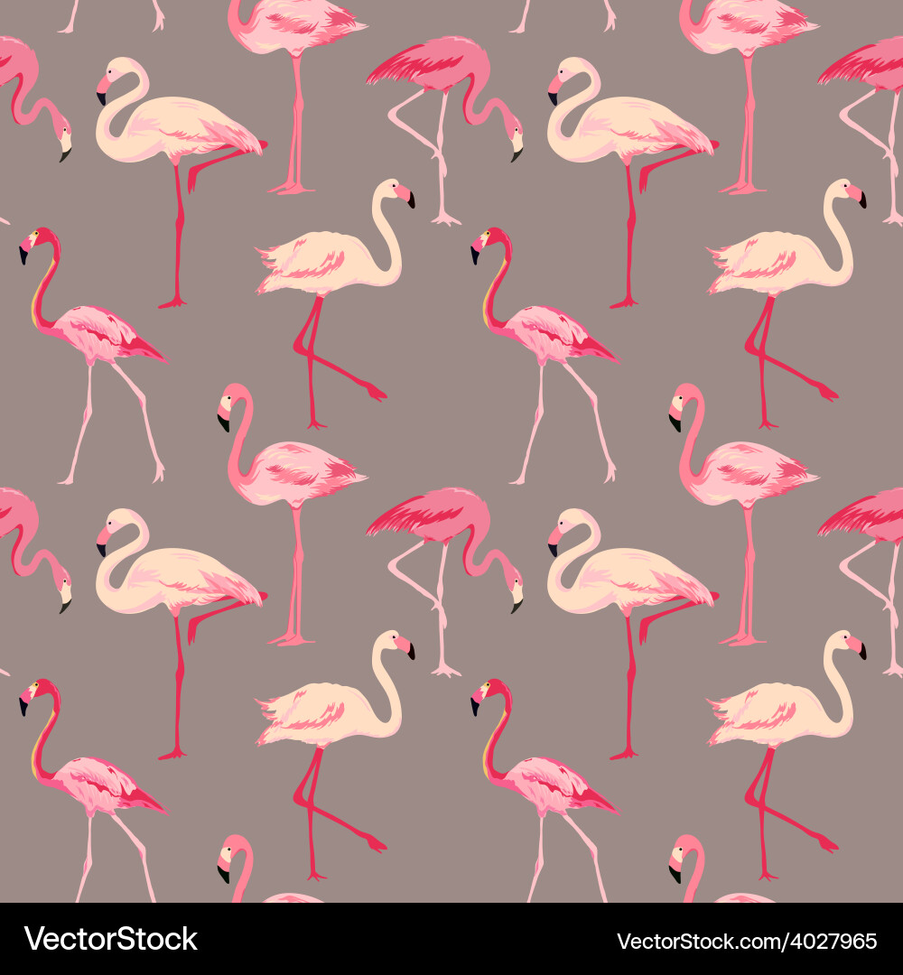Flamingo bird background Royalty Free Vector Image