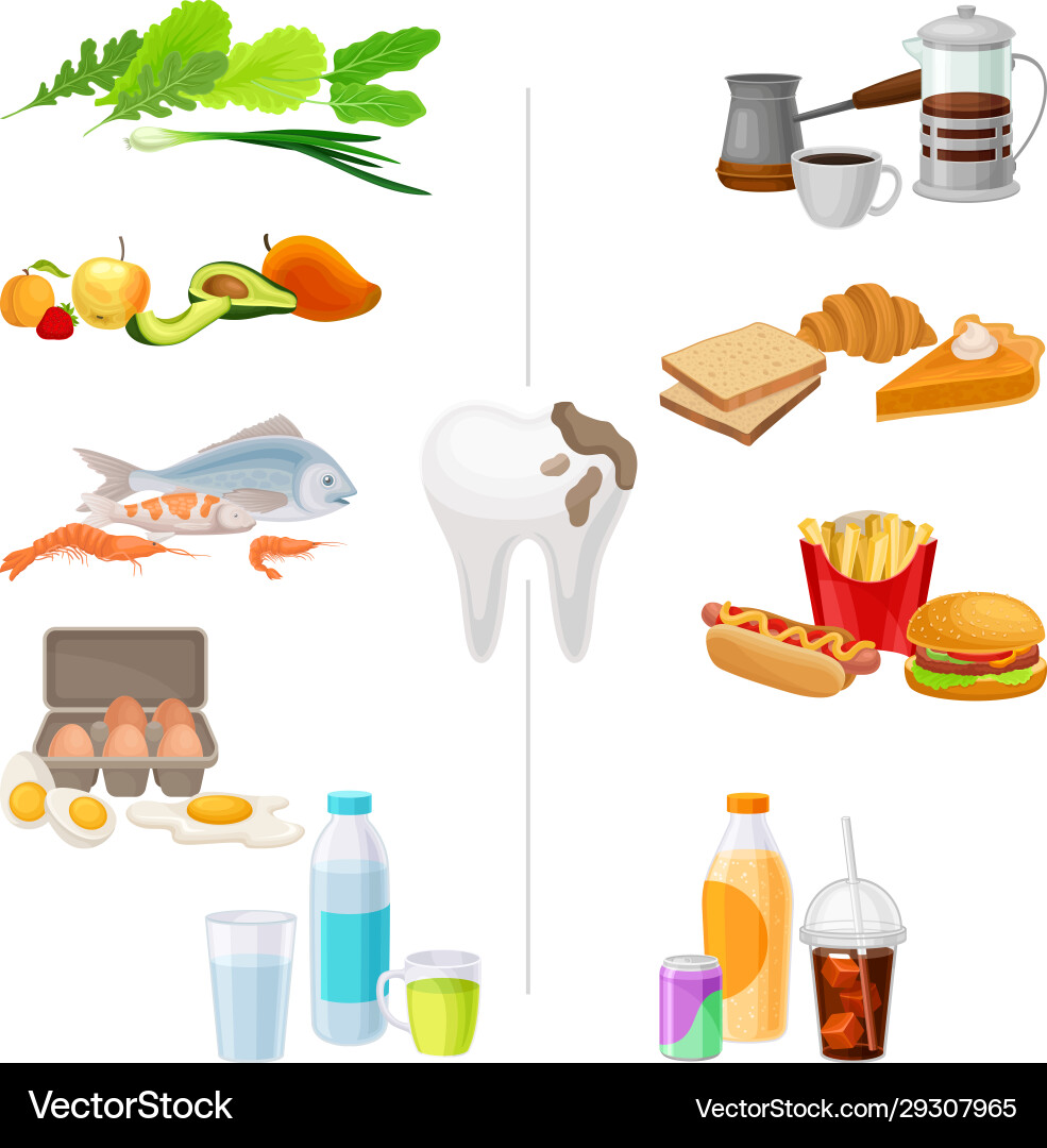 Healthy Teeth Food Choices Royalty Free Vector Image