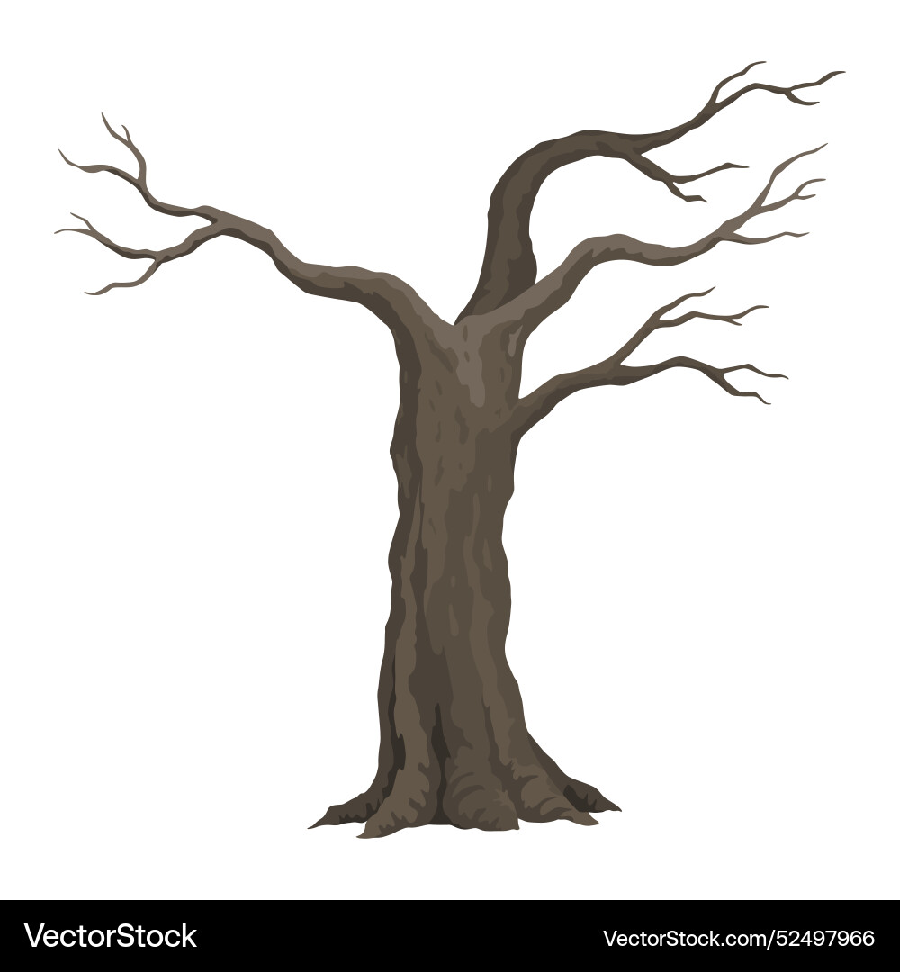Old dead tree hand draw leafless trunk winter Vector Image