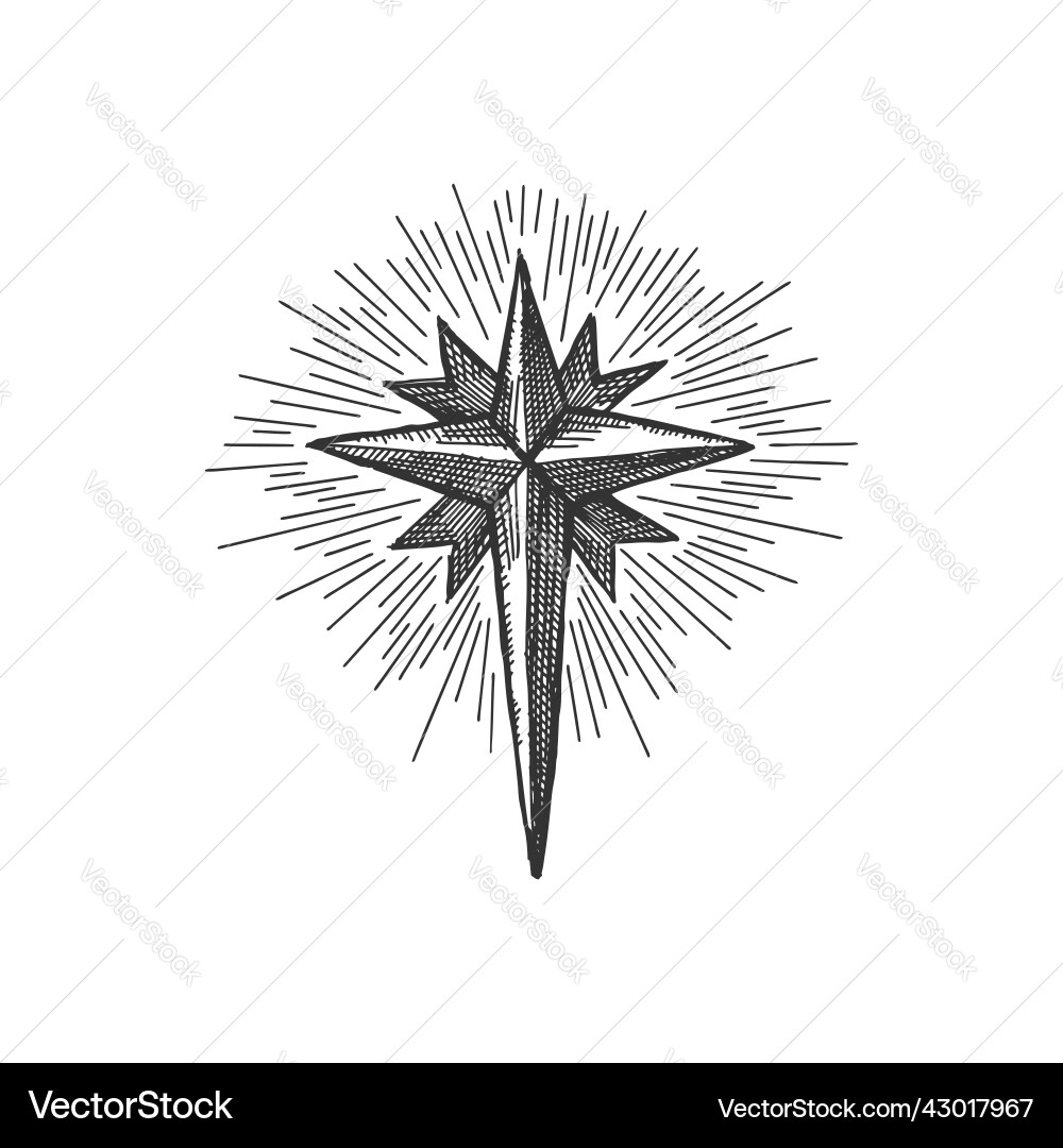A hand-drawn star Royalty Free Vector Image - VectorStock