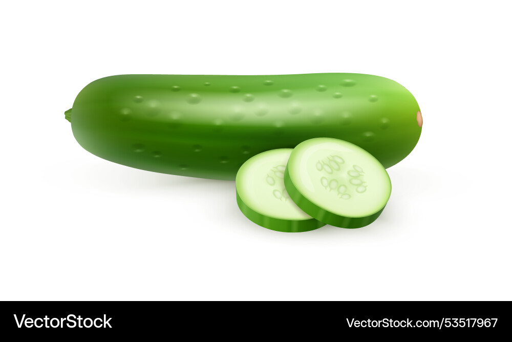 Healthy organic cucumber ingredient Royalty Free Vector
