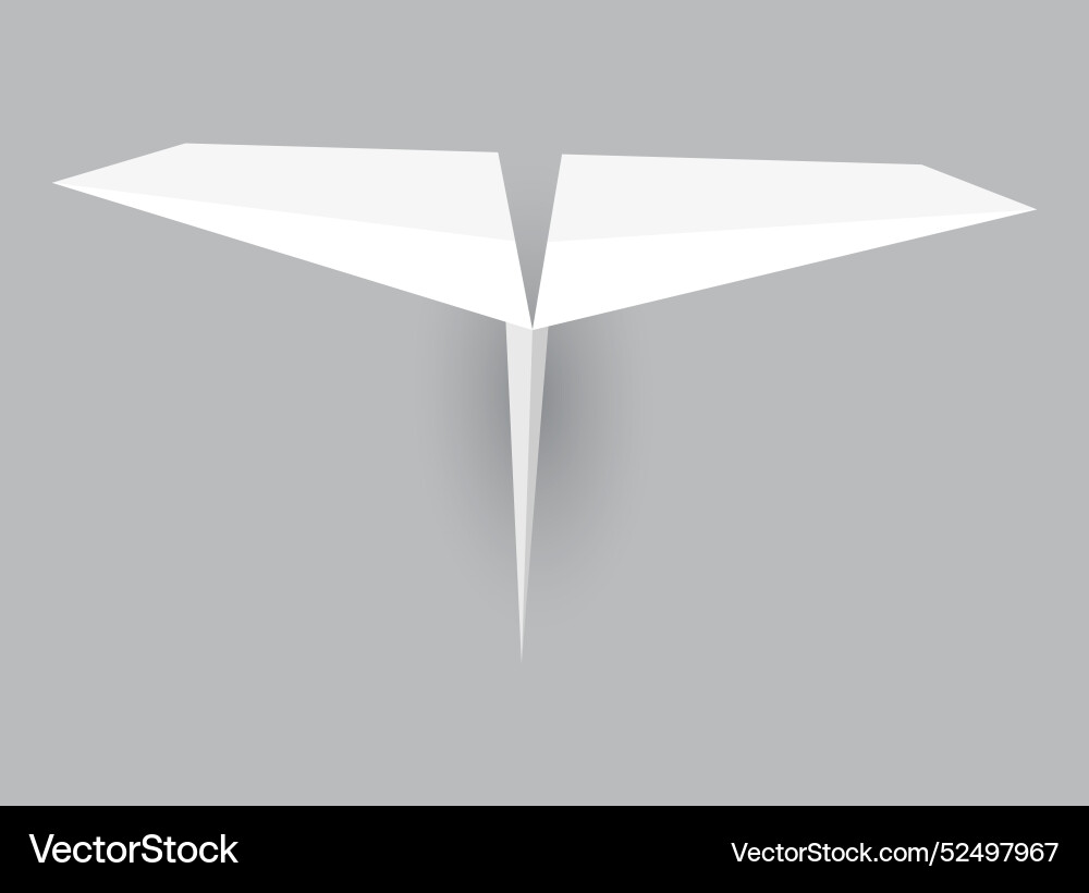 Paper plane model origami handmade aircraft view Vector Image