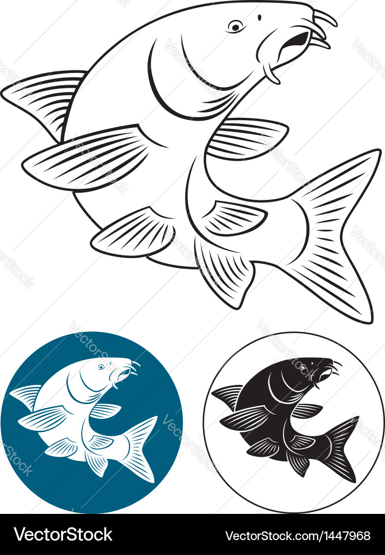 Fish barbel Royalty Free Vector Image - VectorStock