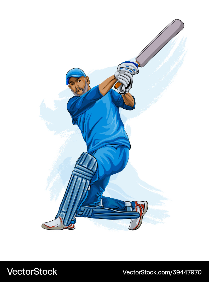 Abstract Cricket Player Splash Royalty Free Vector Image