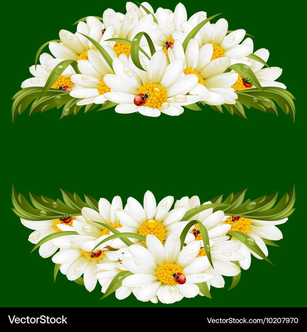 Chamomile and ladybugs circle frame Royalty Free Vector