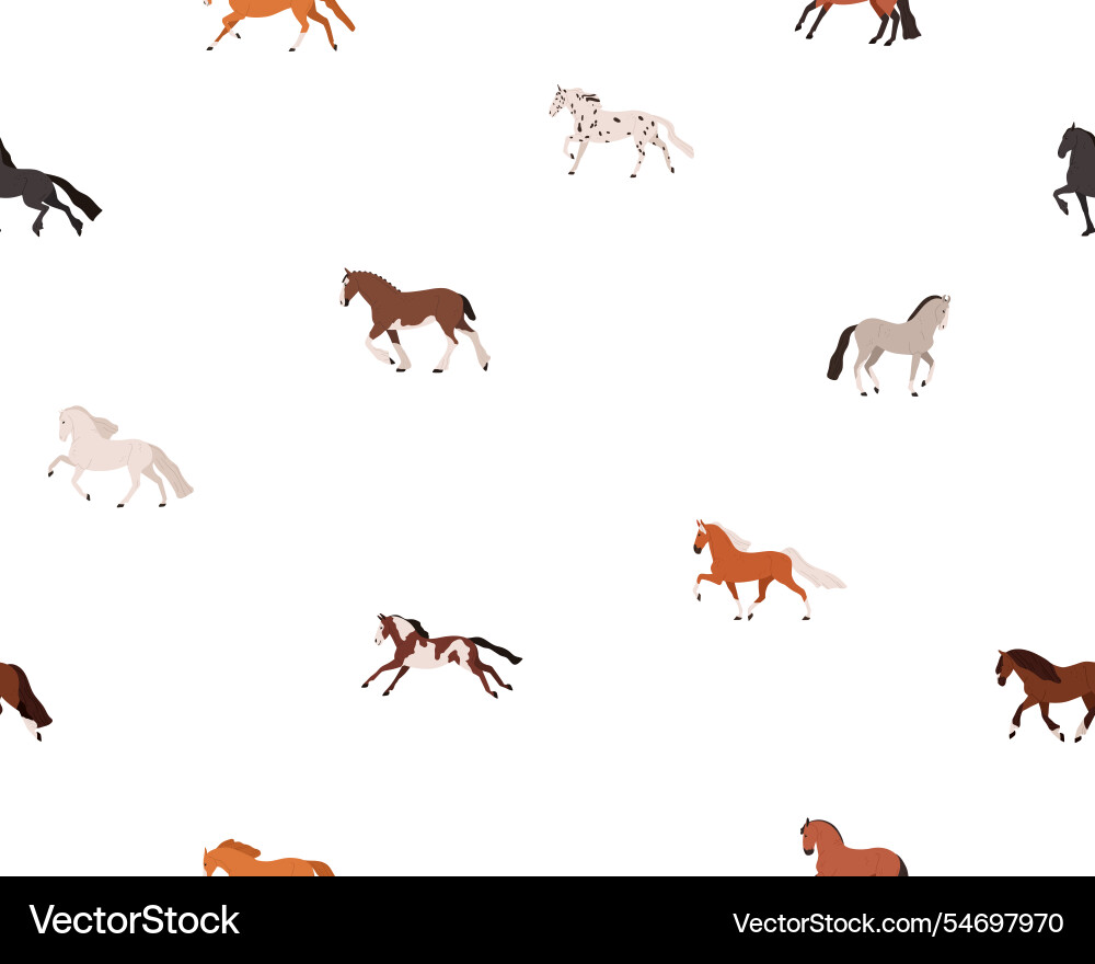 Horse pattern seamless design equine animal Vector Image