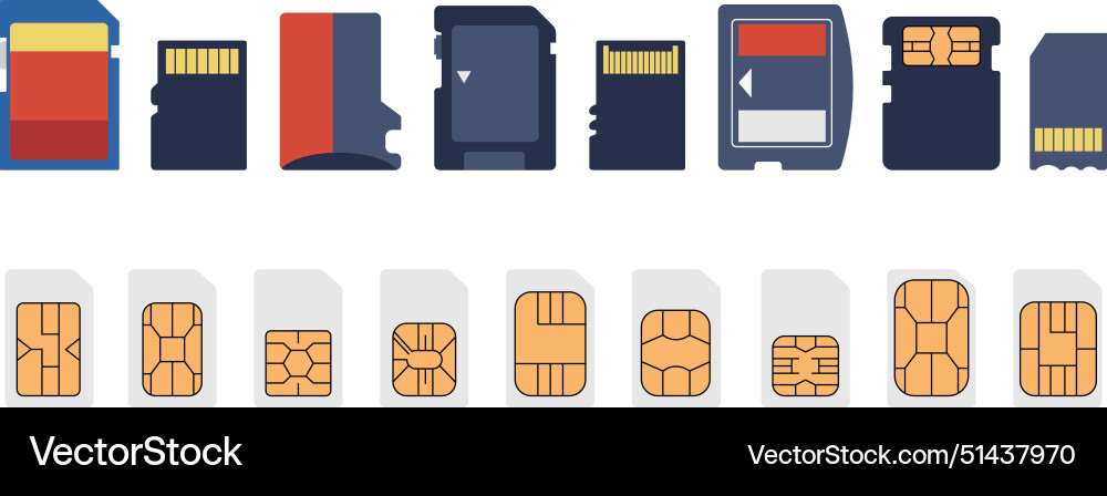 Readers and memory stick different cards Vector Image