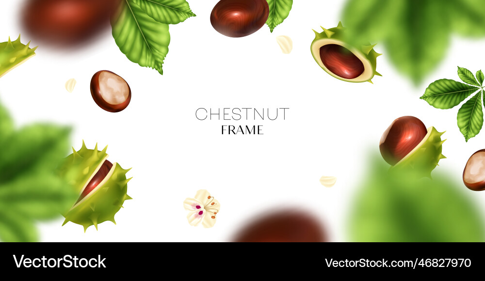 Realistic chestnut frame Royalty Free Vector Image