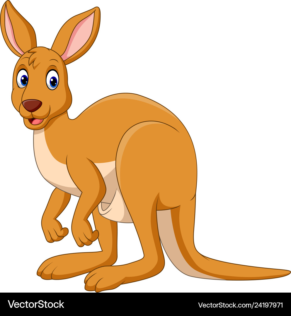 Cartoon funny kangaroo isolated Royalty Free Vector Image