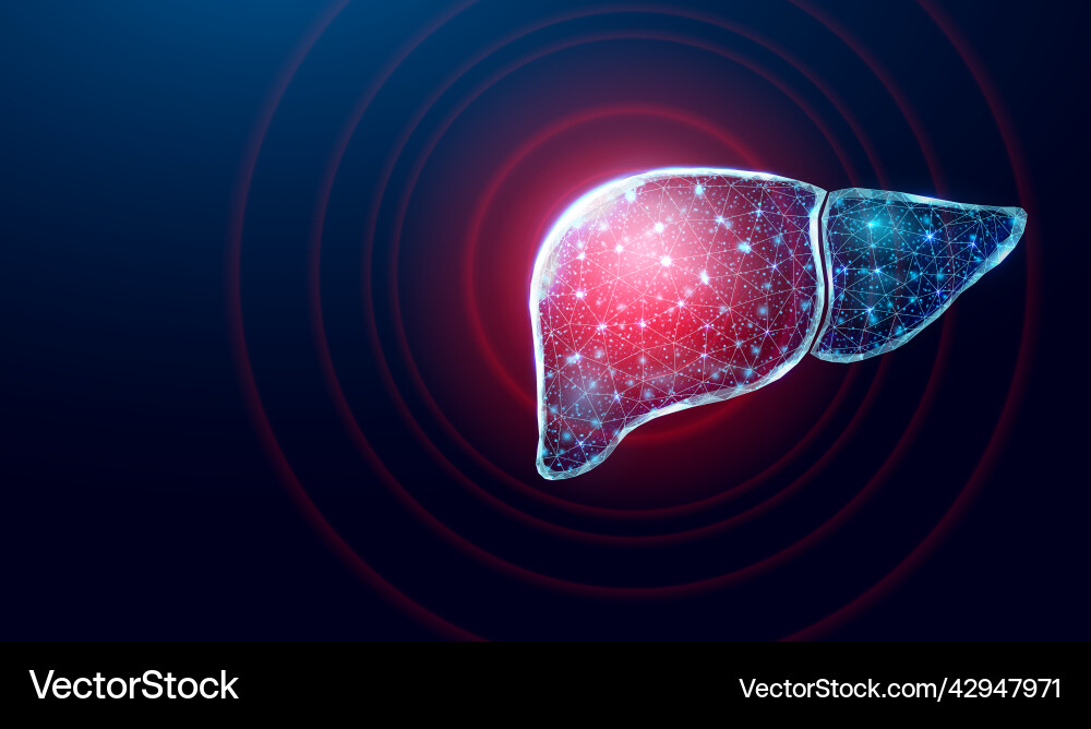 Human liver pain wireframe low poly style Vector Image