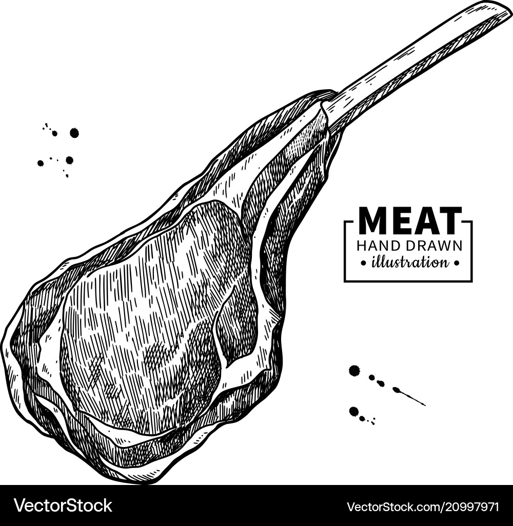 Lamb rib drawing red meat hand drawn Royalty Free Vector