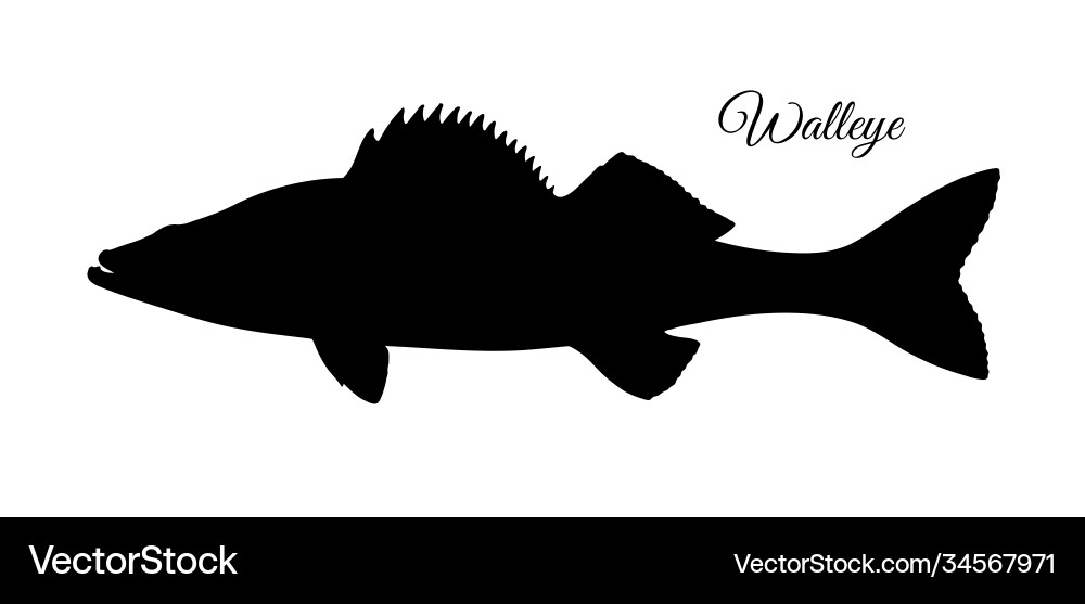 Walleye fish silhouette Royalty Free Vector Image