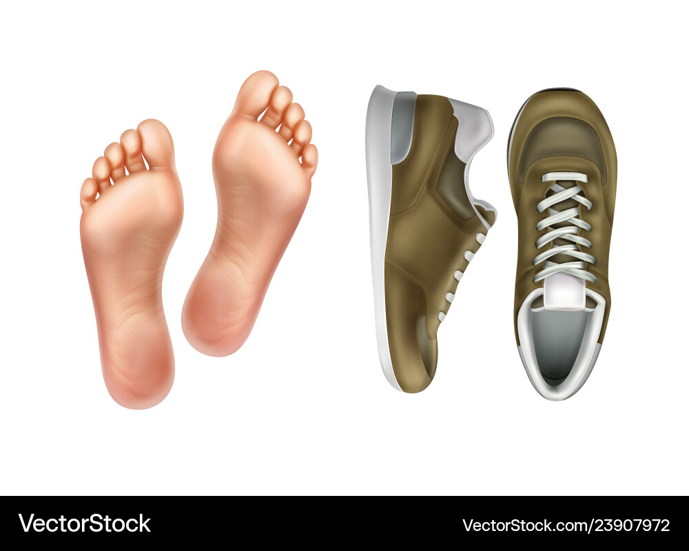 Left and right foot soles Royalty Free Vector Image