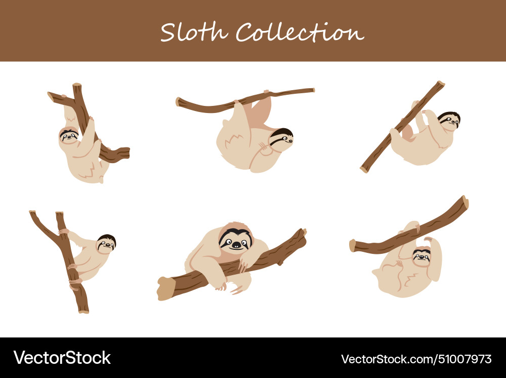 Sloth cartoon Royalty Free Vector Image - VectorStock