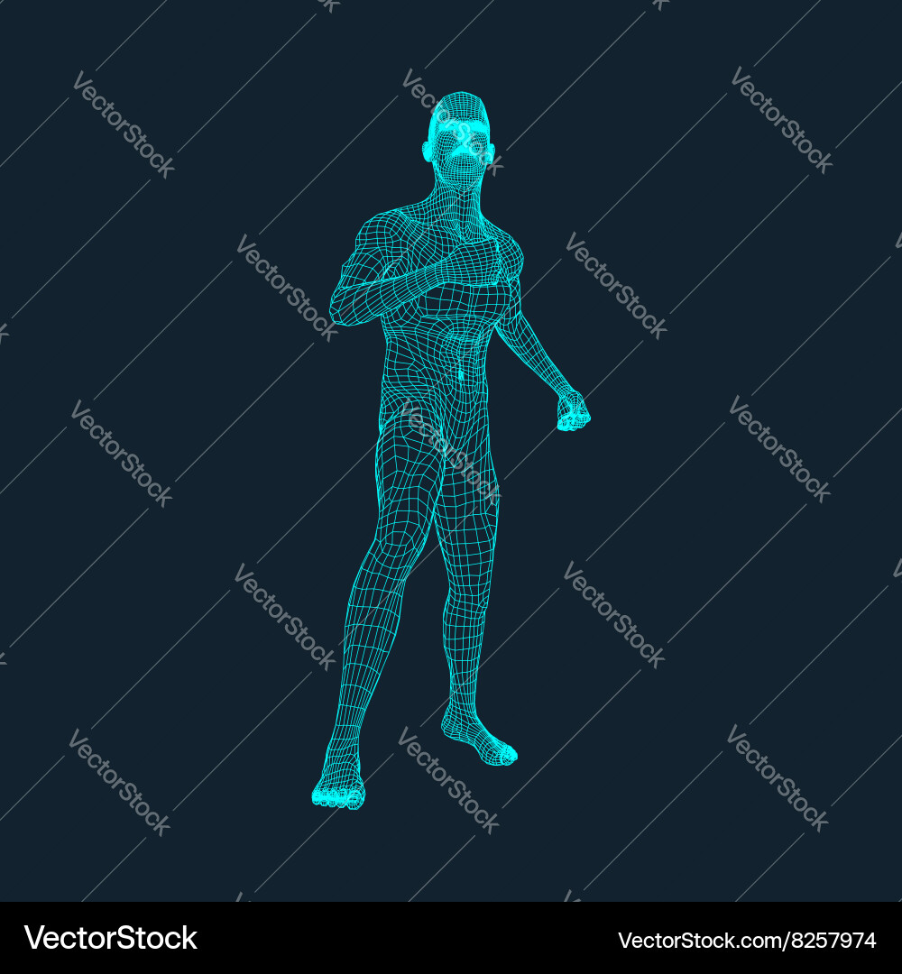 3d model of man human polygon body Royalty Free Vector Image