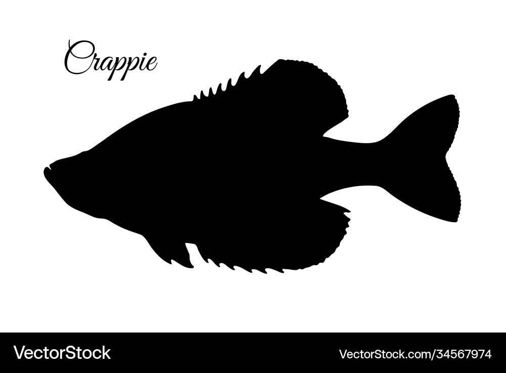 Crappie Outline